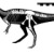 Theropod specimens from the Navesink Formation and their implications ...