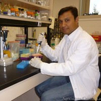 PeerJ - Profile - Md Habibullah Bahar