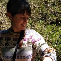 PeerJ - Profile - Meredith Root-Bernstein