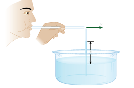 Solved Question 1 A straw is placed so that it stands | Chegg.com