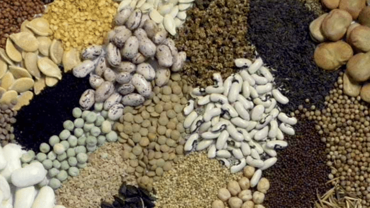 Paine & Partners Acquires Suba Seeds