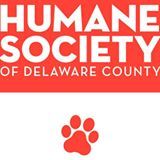 Pets for Adoption at Humane Society of Delaware County, in Delaware, OH ...