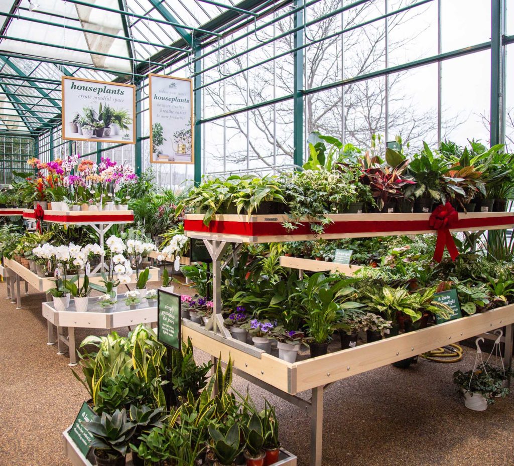 Petitti Bainbridge Township | Petitti Garden Centers