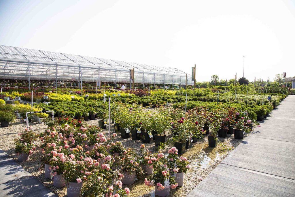 Petitti Canton-Jackson Twp | Petitti Garden Centers