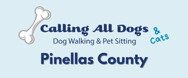 Calling All Dogs & Cats