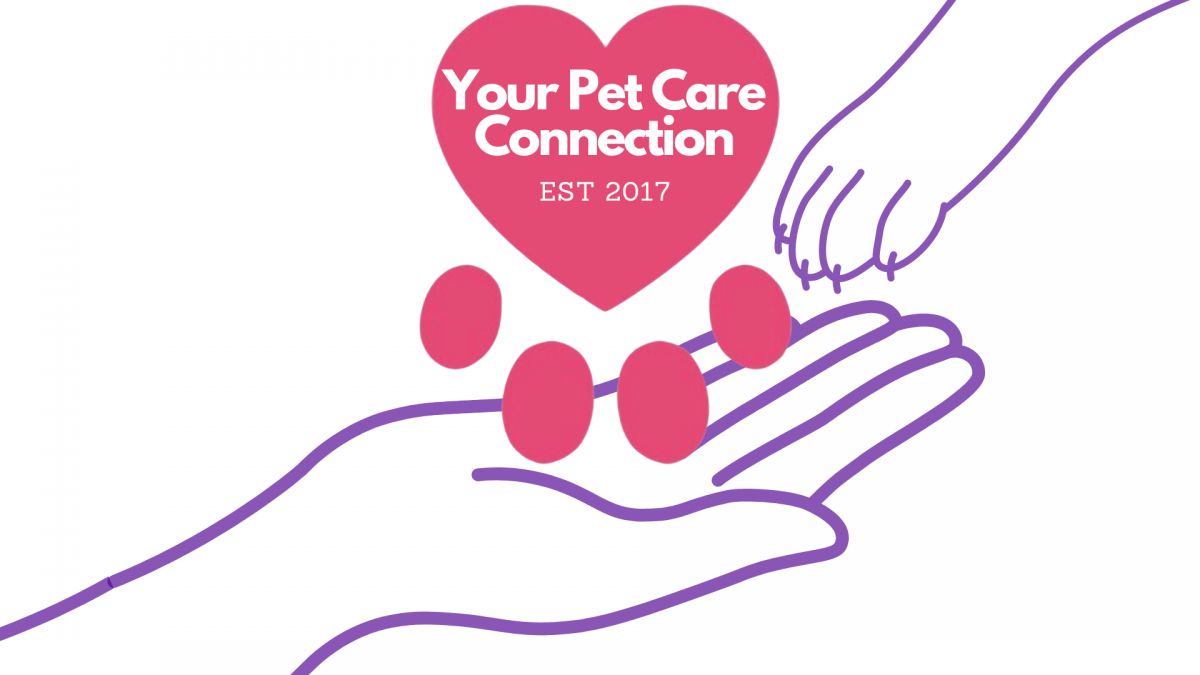 Your Pet Care Connection
