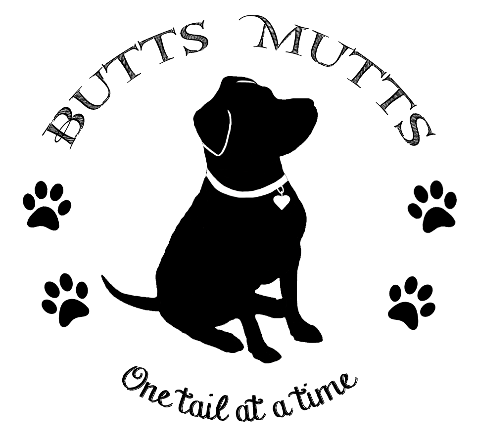 Petstablished | Manage your Animal Welfare Organization (AWO) with our ...