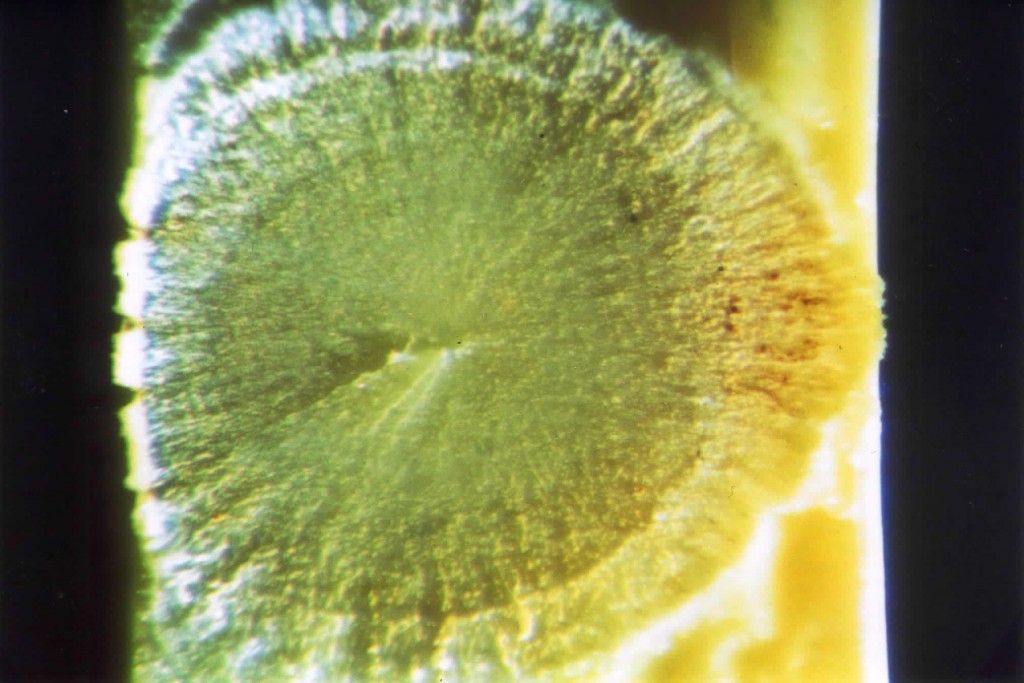 The Nature Of Polyethylene Pipe Failure | Pipeline and Gas Journal