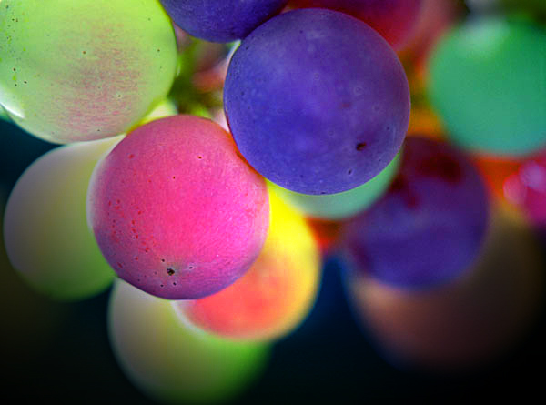 Multi-colored Grapes