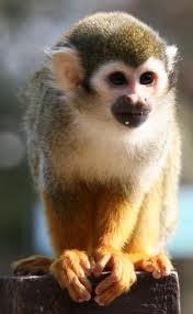 Mr. Alexander and the Witch by Emmy West | Goodreads