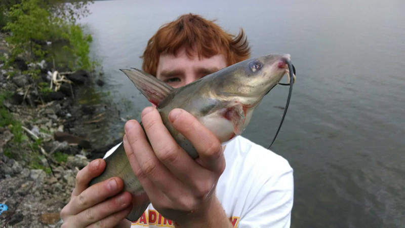 Caught a Channel Catfish on Berlin Lake using a berkley catfish dough ...
