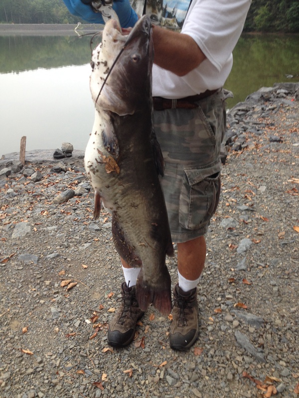 Caught a Catfish on Sweet Arrow Lake using a Hot dog