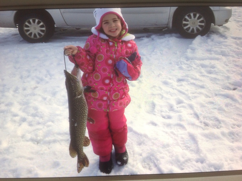 Caught a Northern on Near Forest lake using a Shinner