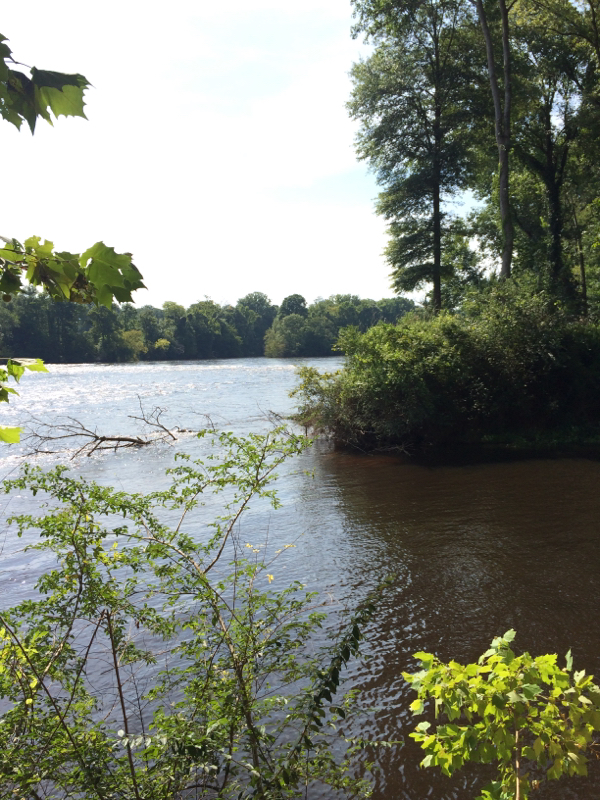 Wateree River SC Fishing Reports, Map & Hot Spots