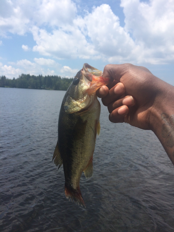 Fishidy