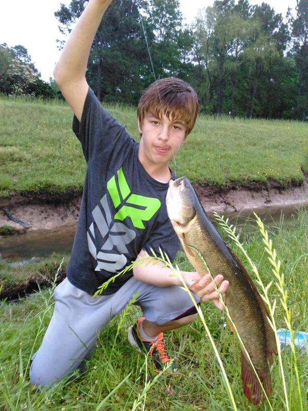 Caught a Bowfin on Lake Houston using a yum dinger junebug wacky rig