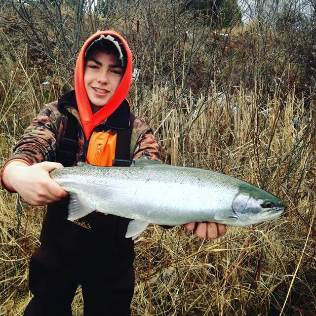 Fishidy