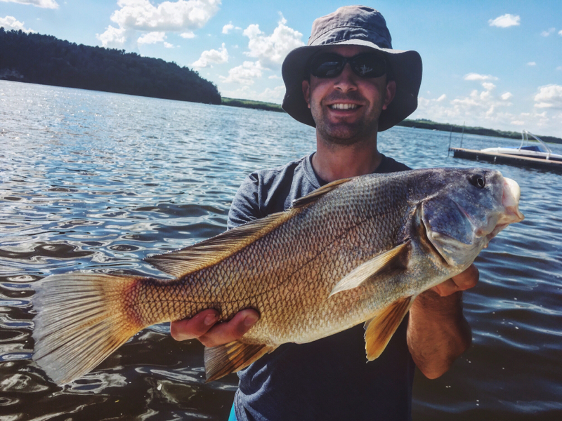 Caught a Freshwater Drum on Wisconsin River (Castle Rock Dam to ...