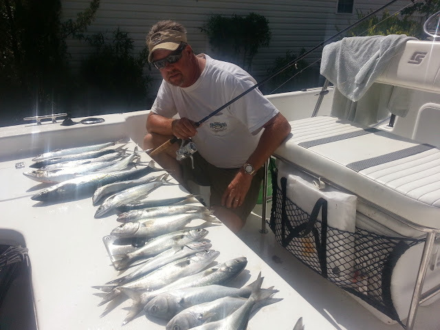 D.rods Adventures | Business