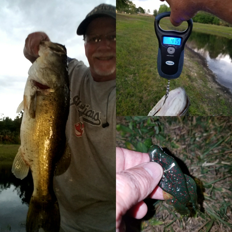 Caught a Largemouth Bass on using a Growler Frog