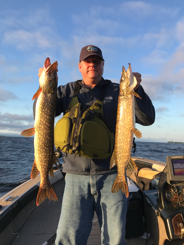 Fishidy