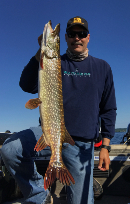 Fishidy