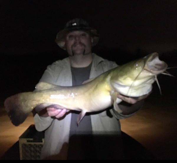 Caught a Flathead Catfish on Lake Houston