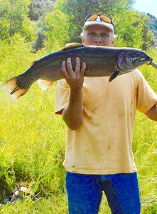 Fishidy