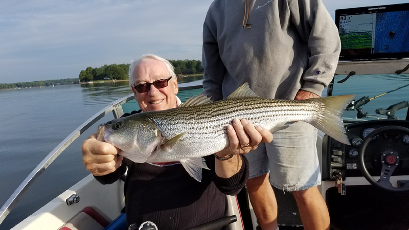 Caught a Striped Bass on Smith Mountain Lake, Virginia using a Live Minnow