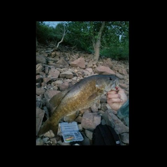 Fishidy