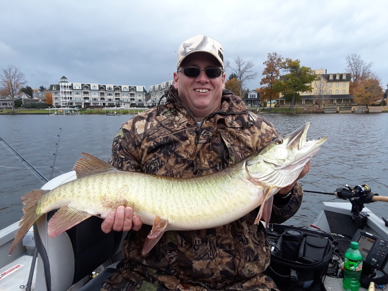 Caught a Muskellunge on Chautauqua Lake using a Leo mojoe shad