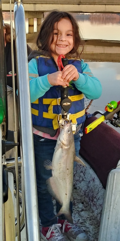 Fishidy