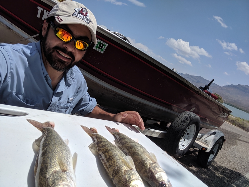 Fishidy