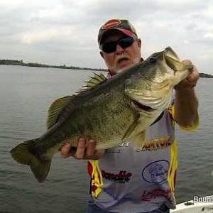 Fishidy