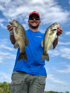 Fishidy