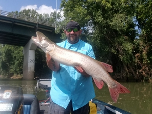 Fishidy