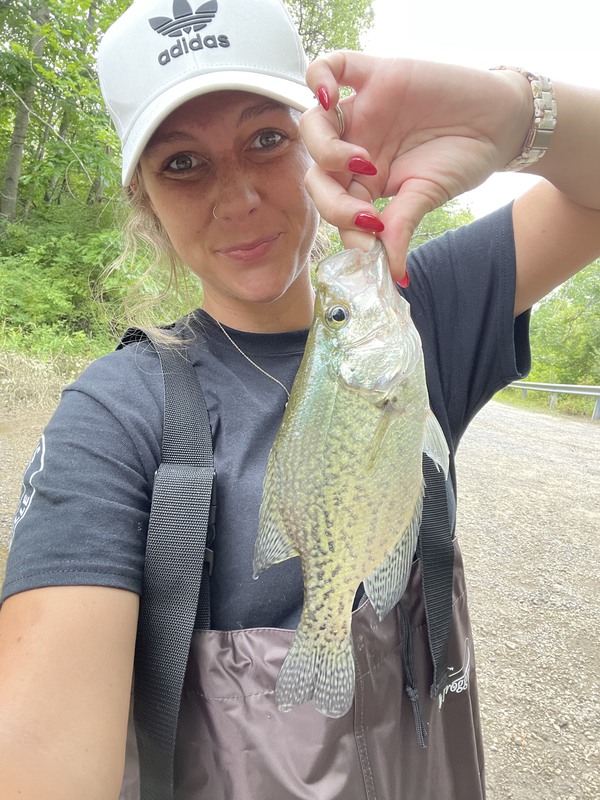Fishidy