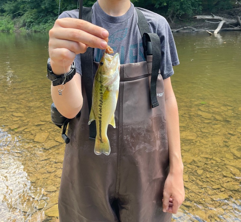 Caught a Largemouth Bass on Neshaminy Creek using a nightcrawler