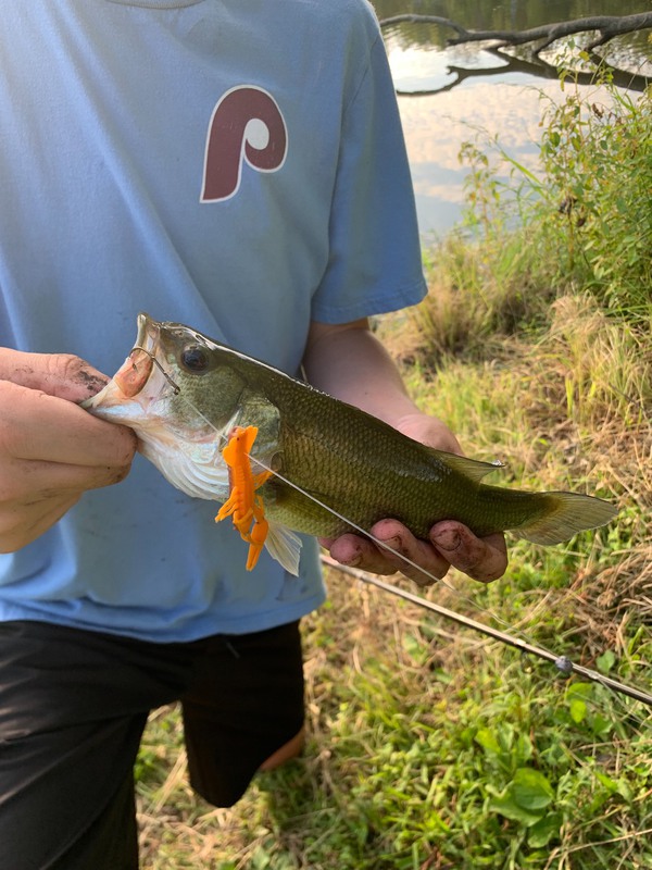 Fishidy