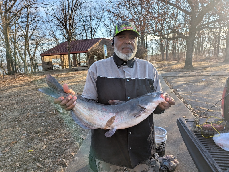 Fishidy