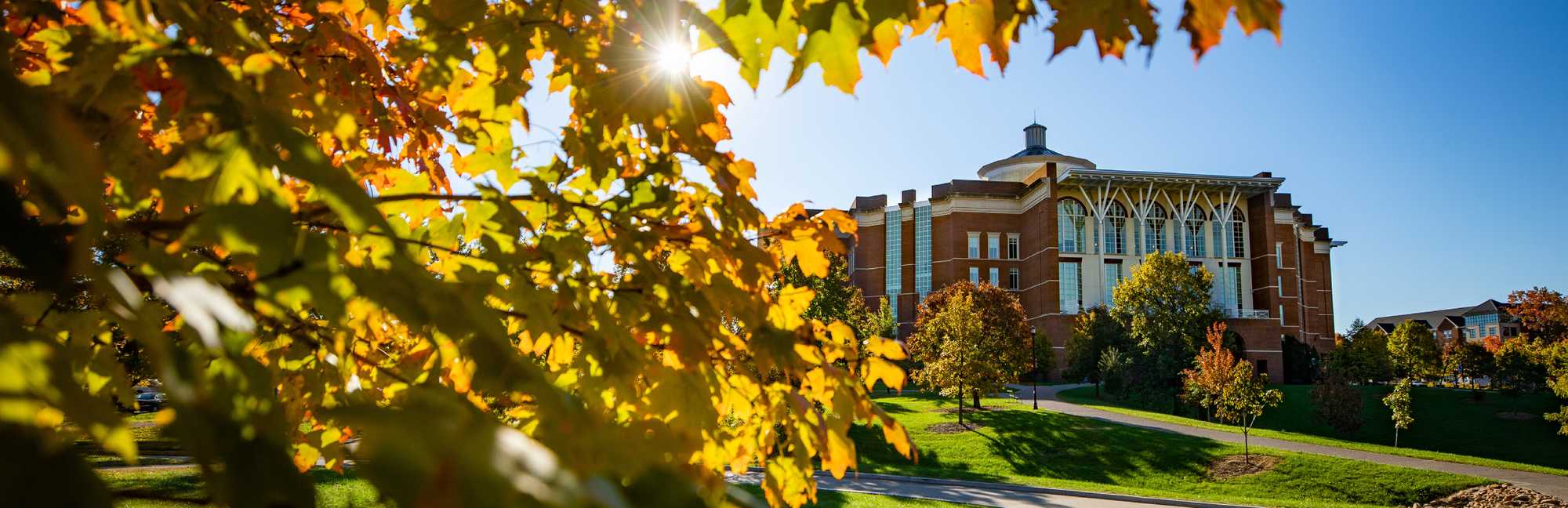 University of Kentucky - Niche