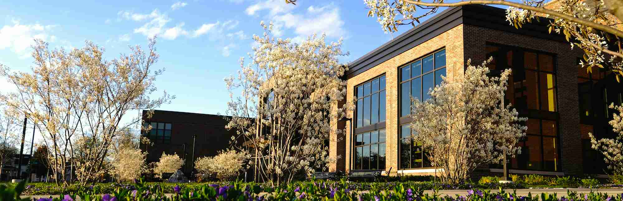 Central Michigan University College of Business Administration Graduate ...