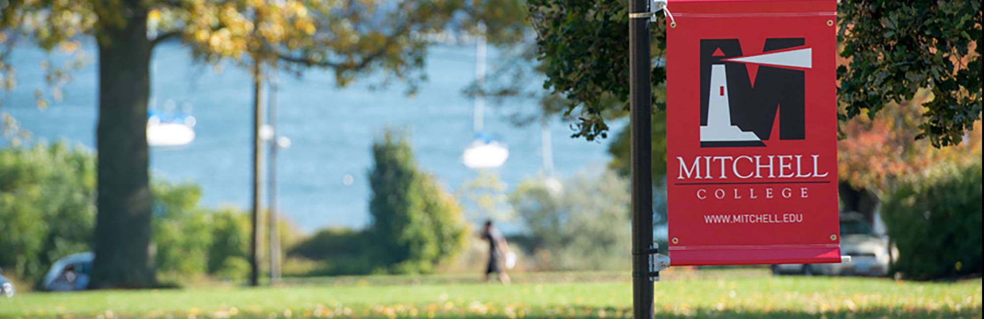 Mitchell College - Niche