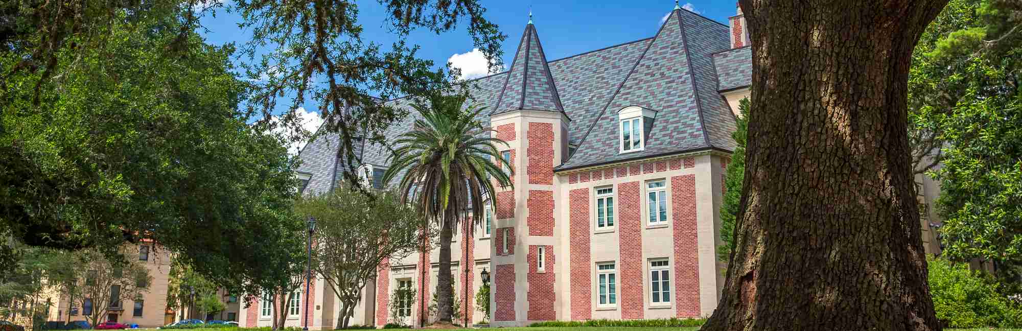 Louisiana State University - Niche