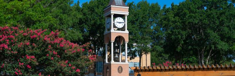 Sam Houston State University - Niche