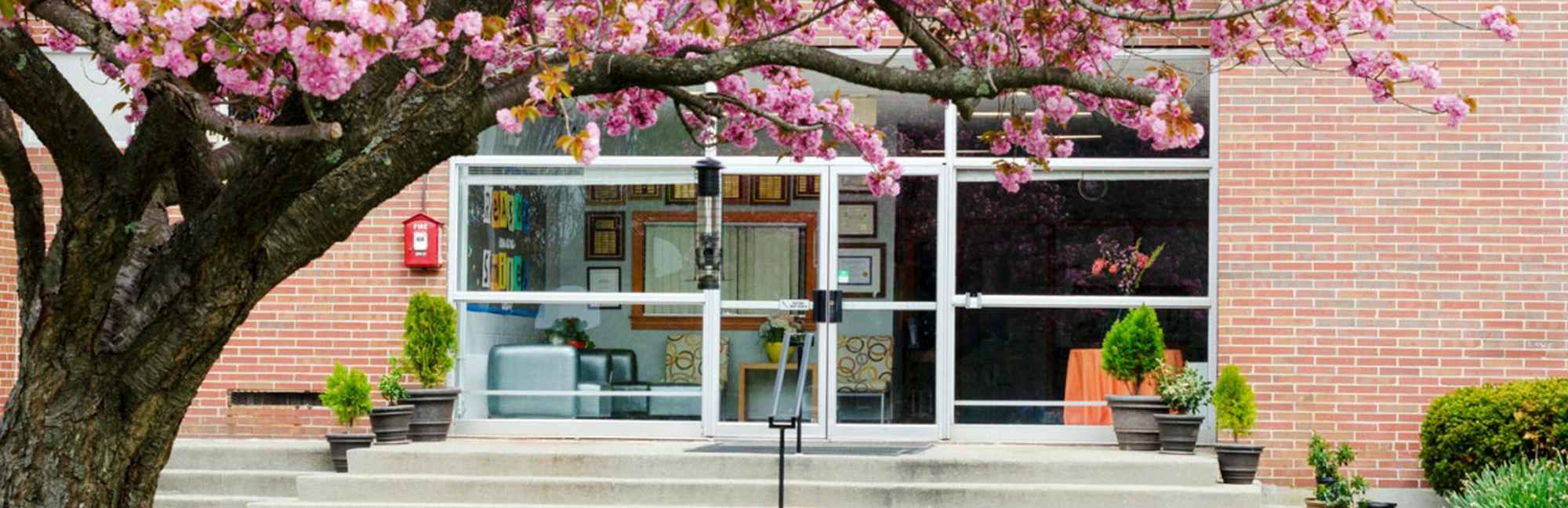 Greater Boston Academy in MA - Niche