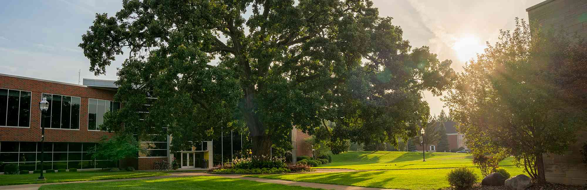 Spring Arbor University - Niche