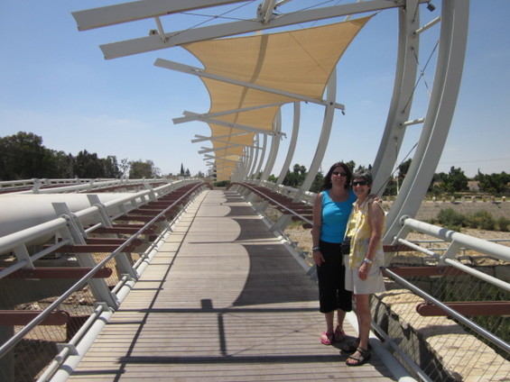 Newton's Judith Sydney and Aviva Sapers Return from Israel | JewishBoston