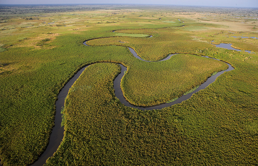 Botswana Dry Season Photos – Award winning images & pictures!