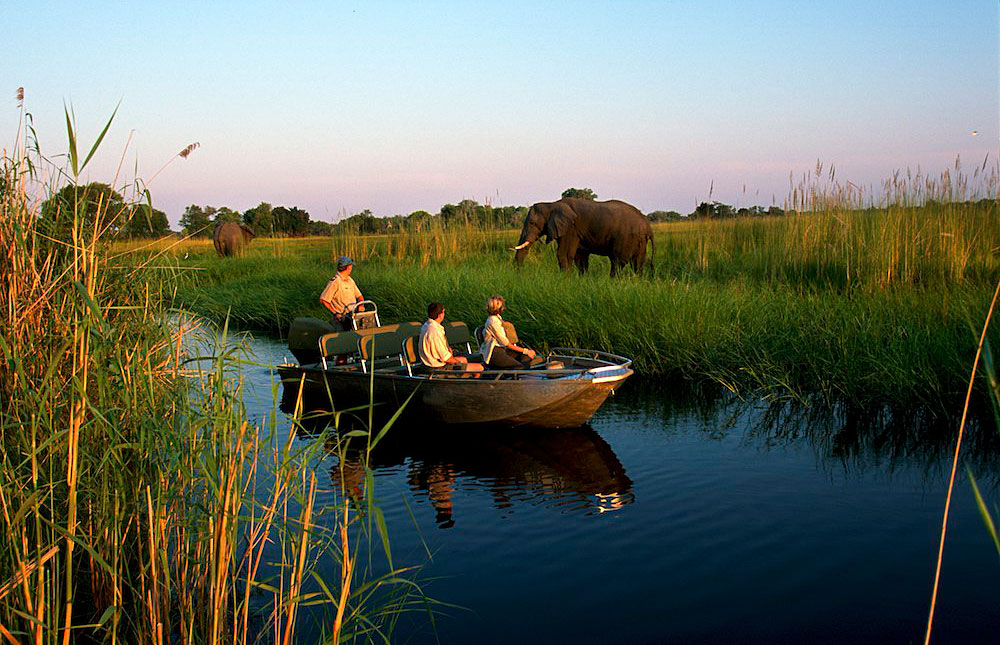 Okavango Delta – Travel guide, Map & More!